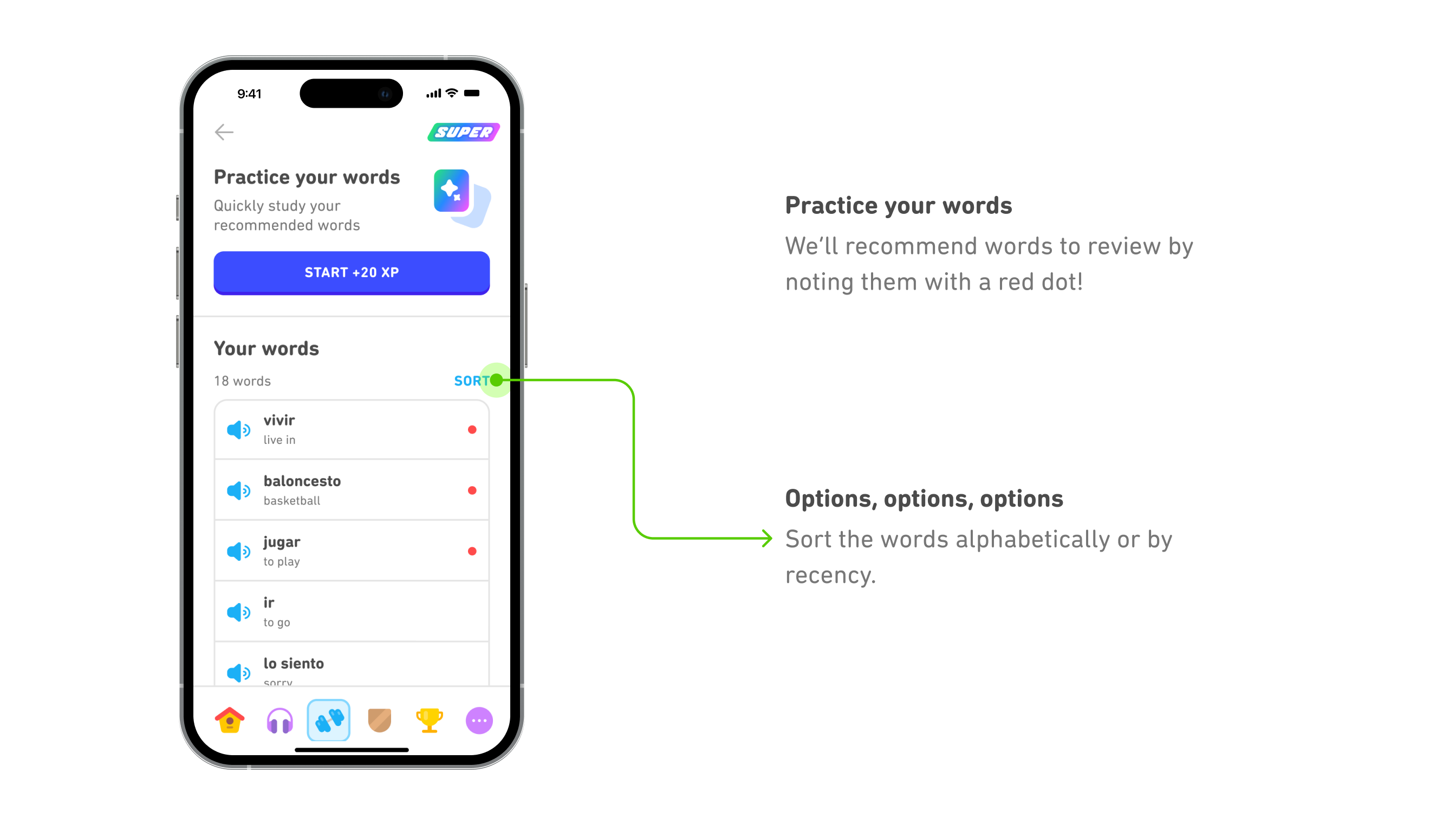 A Helpful Guide to the Duolingo Practice Hub